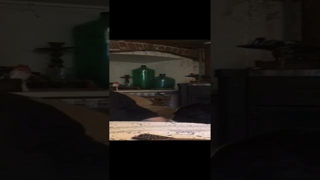 У самовара... Приветик от #Шилеле Жая, теперь он живёт недалеко от меня.