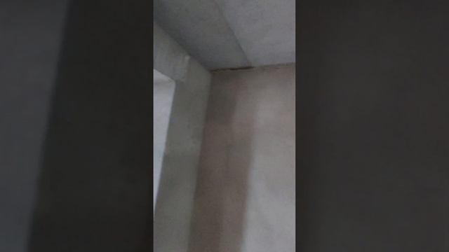 Сдается помещение свободного назначения на улице Ленина,в центре города Александров  #недвижимость