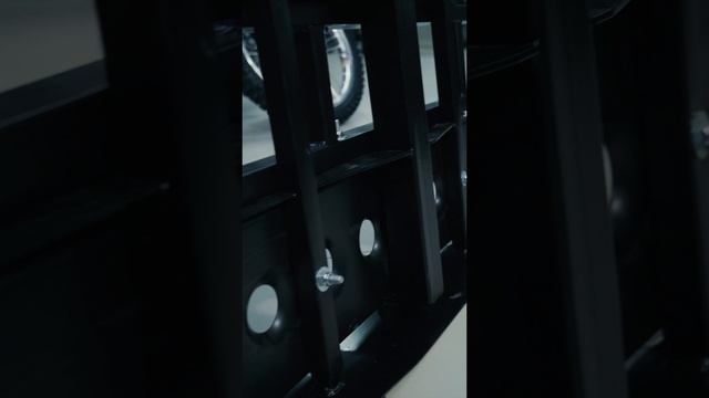 МишаМотохвост