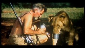 Эльза – львица, изменившая мир (Elsa – The Lioness Who Changed the World)