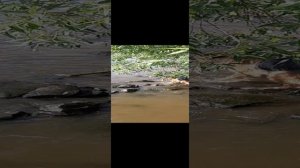 20230730_142913.mp4
