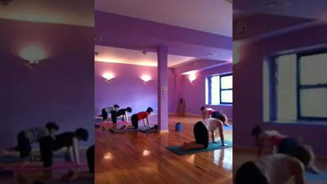 Beginner class with chie @ yoga spot – смотреть онлайн видео от Йога для создания сознательных и ...