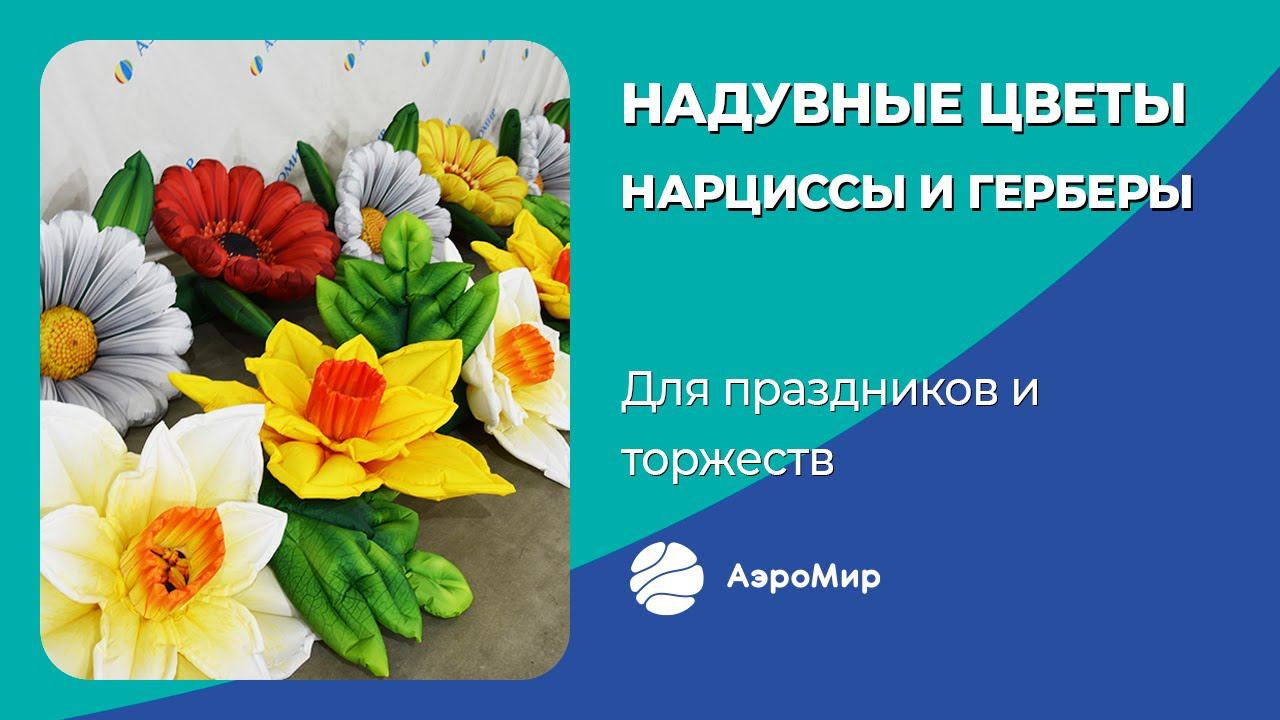 Надувные цветы Герберы и Нарциссы | Надувные декорации для праздников от АэроМир