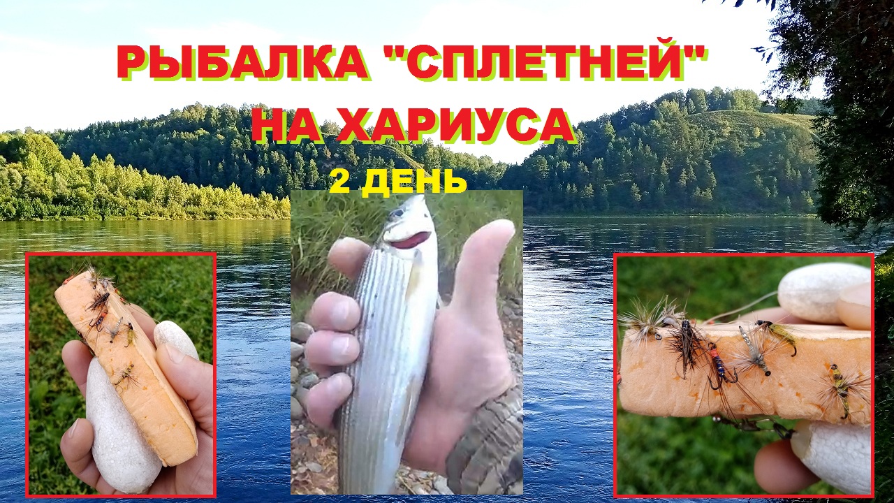 Рыбалка "сплетней" на хариуса, 2 день.