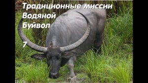 The Hunter classic(Водяной Буйвол 7)
