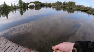 FISHERIX. 12 мая