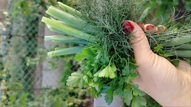 ДАЧНЫЙ РЕЛАКС, КАЙФУЕМ ОТ ПРИРОДЫ, НАСЛАЖДАЕМСЯ НАТУРАЛЬНЫМ