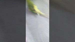 VID-20230720-WA0001.mp4