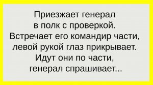 Приехал Генерал в Полк с Проверкой... Сборник Смешных Анекдотов и Историй Каждый День Без Повторов!