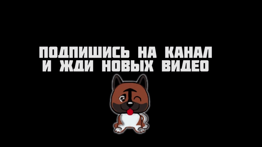 Яра на выставке