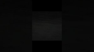 я показываю своего кота когда он залазит под диван это ржачное???????