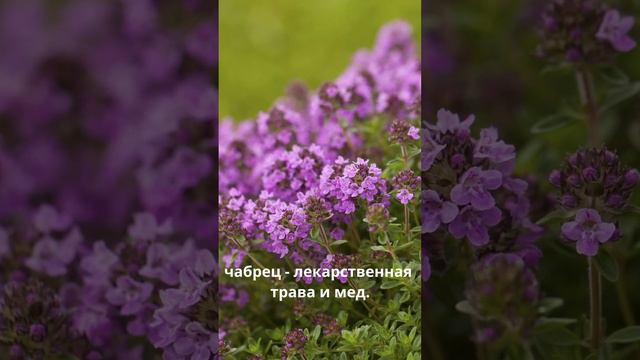 Как избавиться от затрудненного дыхания во время ОРВИ?
