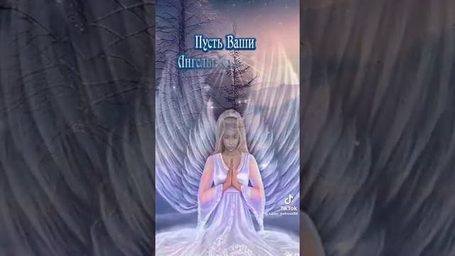 video_4807849022823.mp4