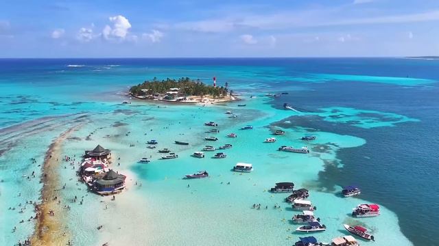 Mega Hits 2024 🌱 The Best Of Vocal Deep House Music Mix 2024 🌱 Summer Music Mix 2024 #233