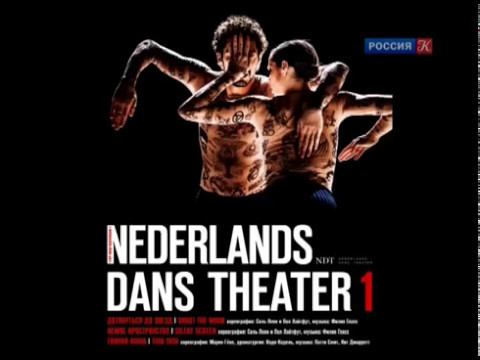 ЦЛ  о  Нидерландском театре танца на фестивале Dance Open