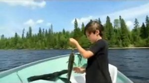 Berkley Gulp Minnow Produces At Sunshine Lake