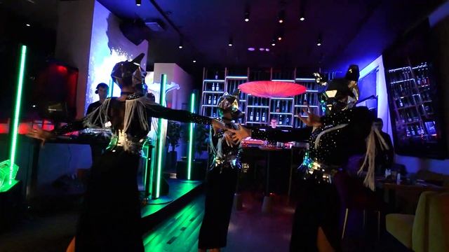 MIRROR CATS ШОУ ДИВАЙС ВОРОНЕЖ МОСКВА