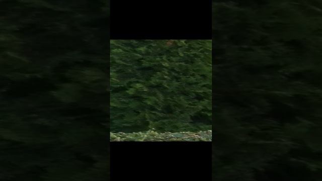 1000007671.mp4