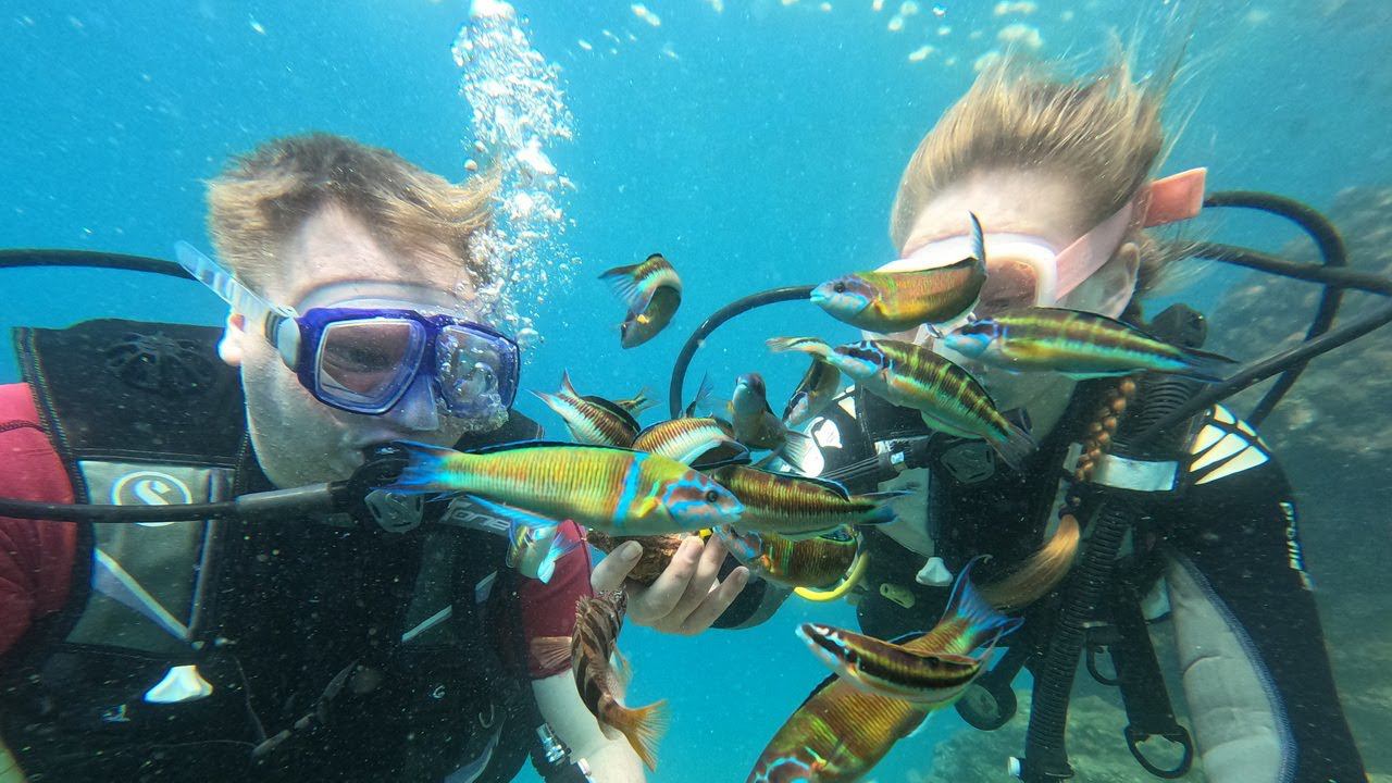 Турция, часть 2 — ныряние с аквалангом, октябрь 2023