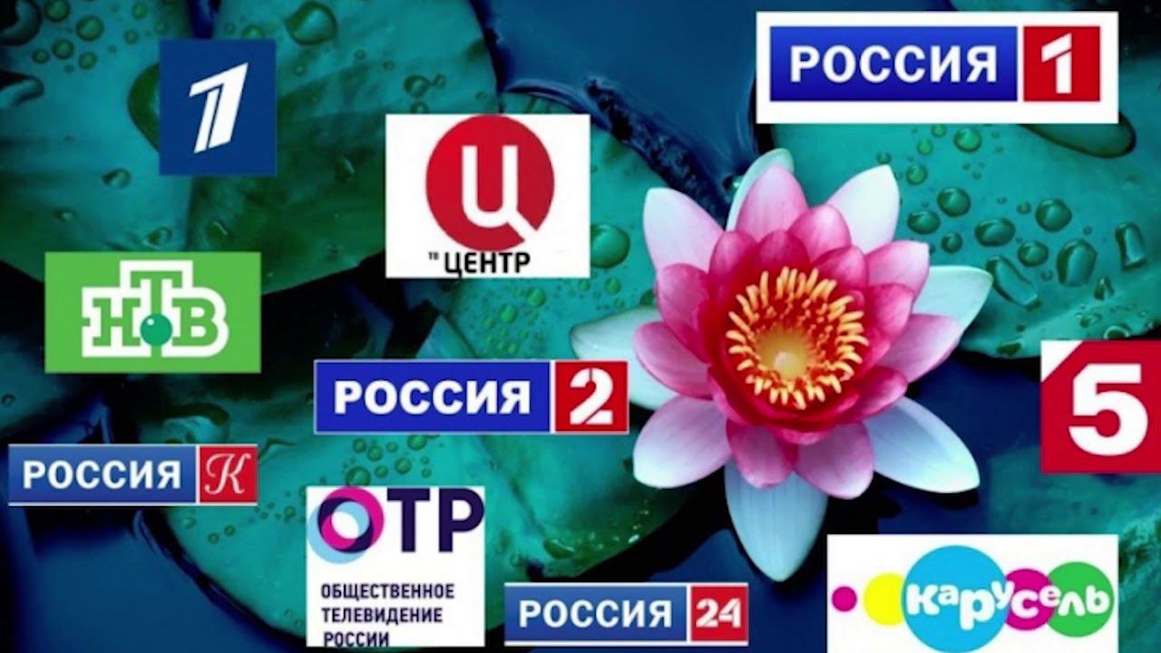 Сергей Ерёменко об отключении "аналога" и переходе на цифровое телевещание в Чеченской Республике