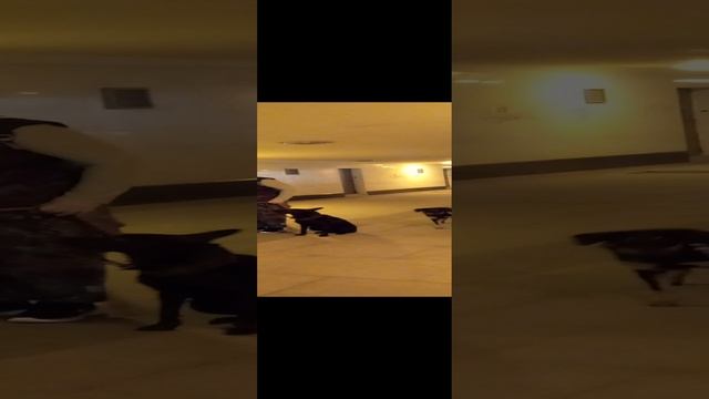 Выход в город5 20230430