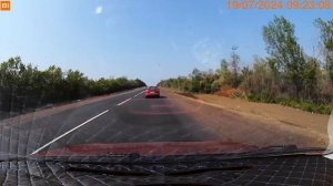 Прилёт птицы в лобовое