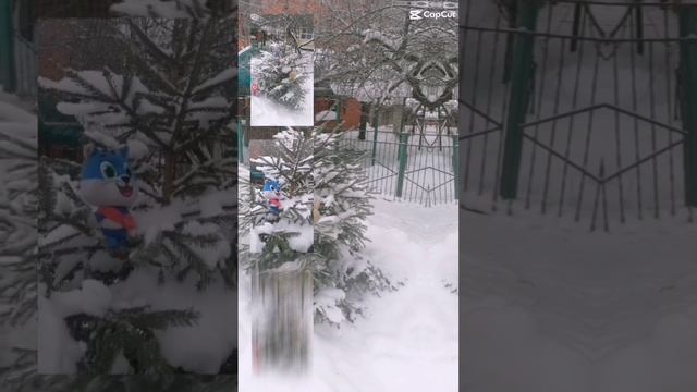 Маленькая ёлочка ???