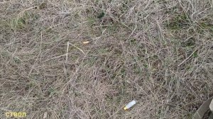 Отстрел патронов Феттер 00 и Азот(Русский охотник) 00 на кучность, дистанция 35 метров.