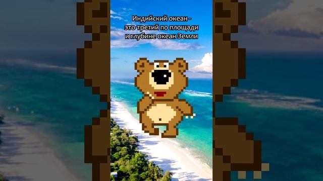 Мишка и Индийский океан