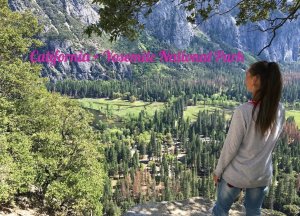 California  и поездка в Yosemite National Park
