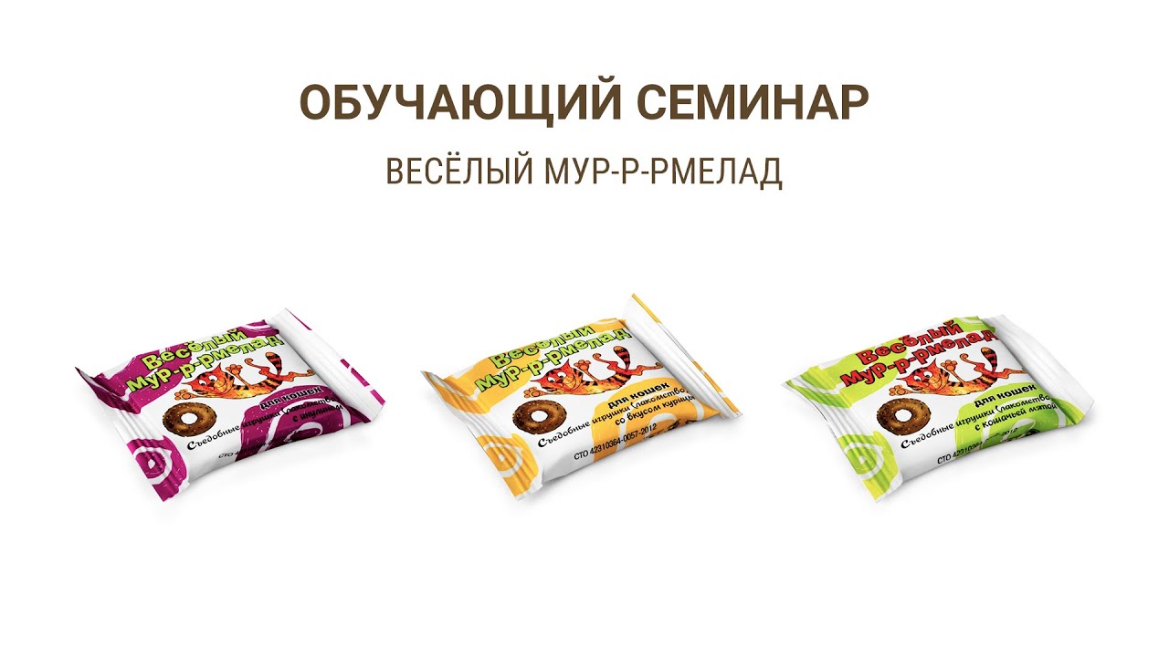 Обучающий семинар 2018 г. - 22 ВЕСЁЛЫЙ МУР-Р-РМЕЛАД