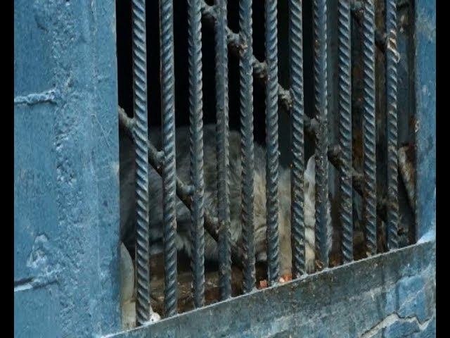 Жили-были-на-Дону 27.10.2017