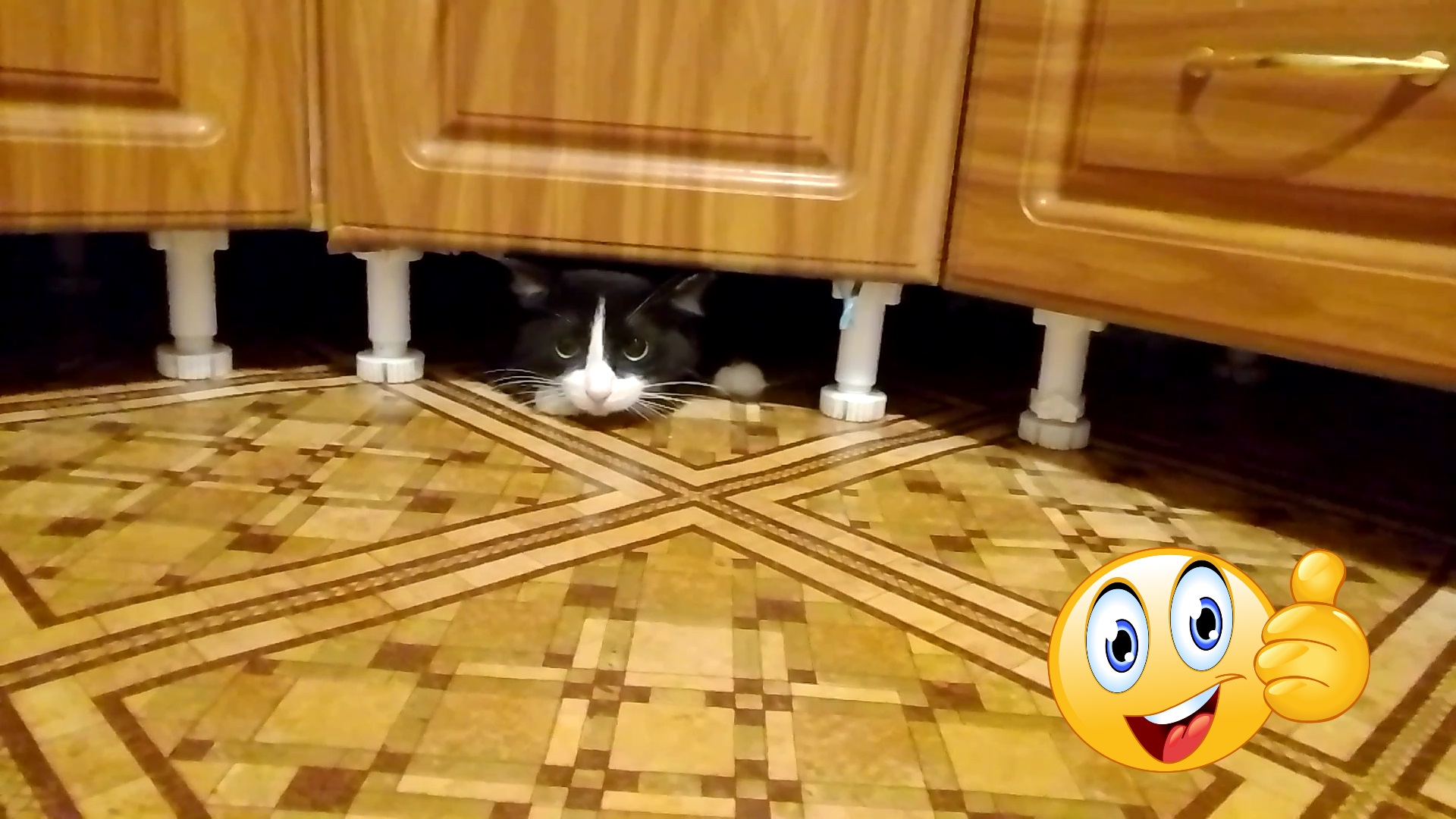 От МУРКА никто НЕ УЙДЕТ!.mp4