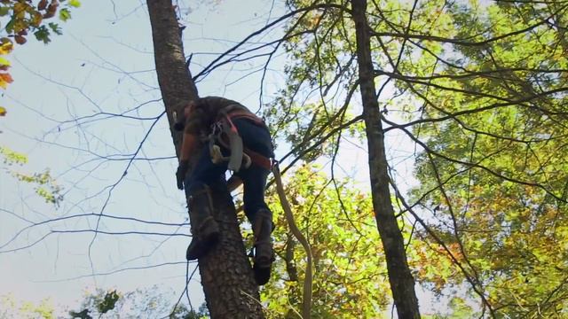 Mountain Monster 02X03 ("Yahoo of Nicholas County")