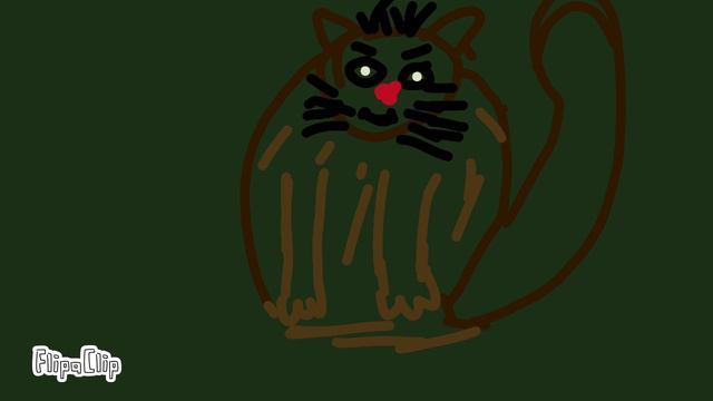 Кот в темноте!