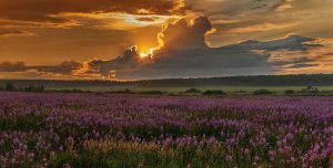ТИПА, БЕТХОВЕН... (Фото Анатолия Шулепова (Челябинск), музыка - Людвиг ван Бетховен - Дэвид Гарретт)