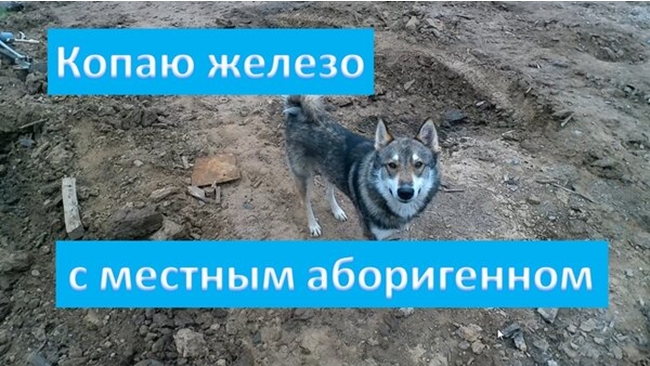 Копаю железо с местным аборигенном.