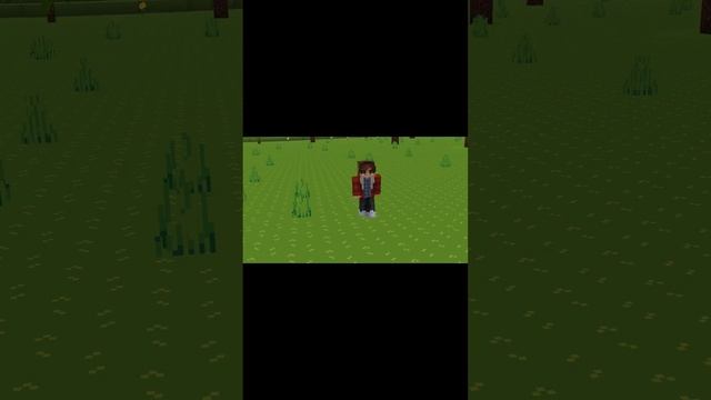 Ежа скаммуниздили|BBS clips #shorts