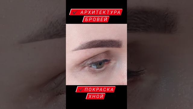 Архитектура бровей