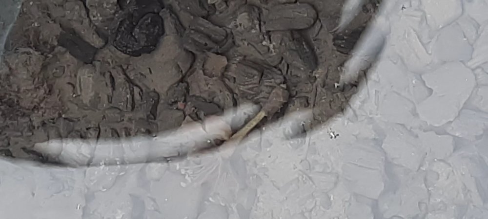Водная гладь.