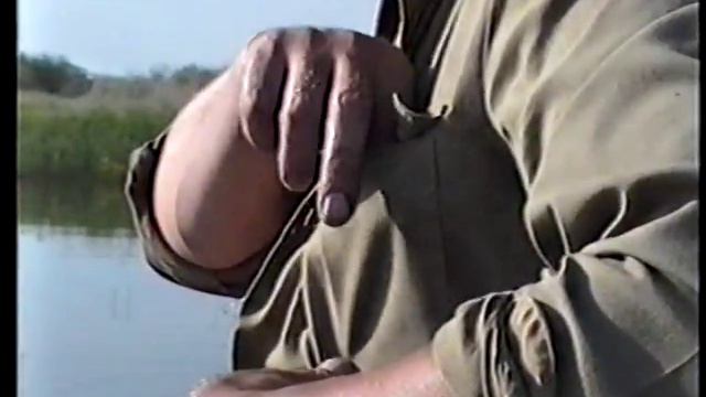 Течёт река Волга