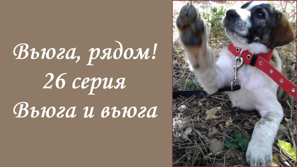 "Вьюга, рядом!" 26 серия "Вьюга и вьюга"   new
