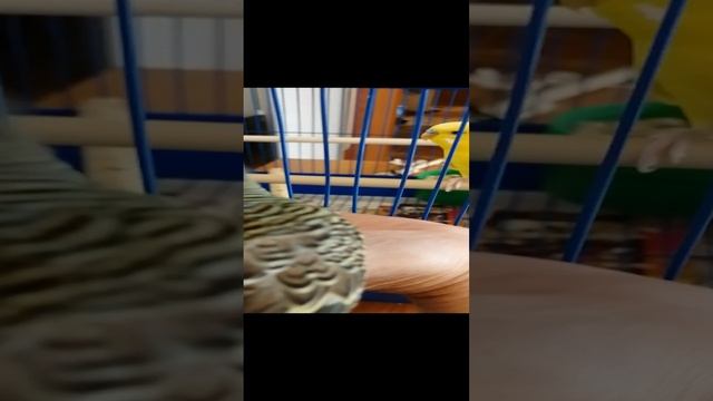 2день пост.mp4