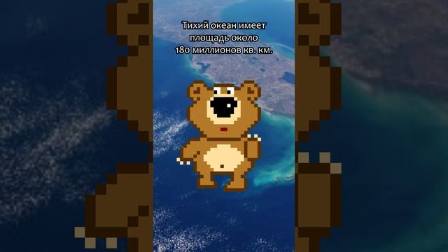 Мишка и Тихий океан