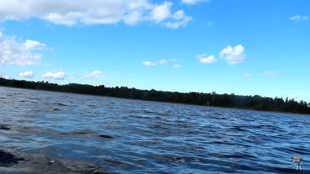 Щучка на дорожку по пути домой