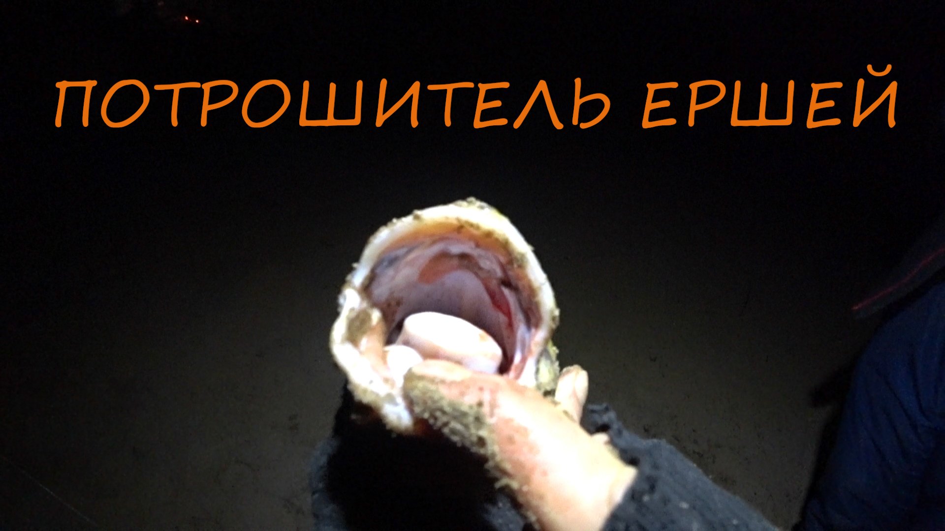 ПОТРОШИТЕЛЬ ЕРШЕЙ / ЛОВЛЯ НАЛИМА В НОЯБРЕ