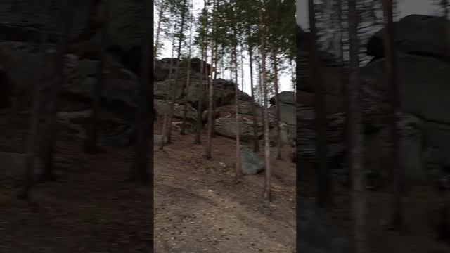 гора Кобылья голова