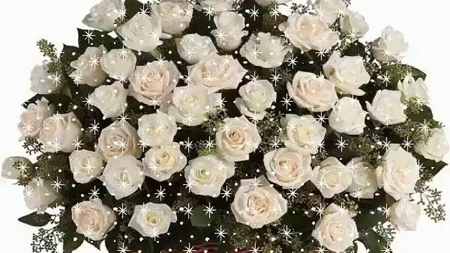 image (12).