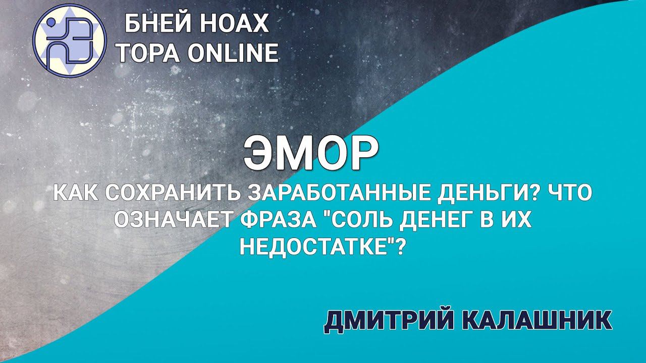 Как сохранить заработанные деньги? Что означает фраза "соль денег в их недостатке"? Глава Эмор