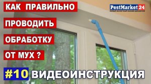 Как правильно проводить аэрозольную обработку от мух. ВИДЕОИНСТРУКЦИЯ